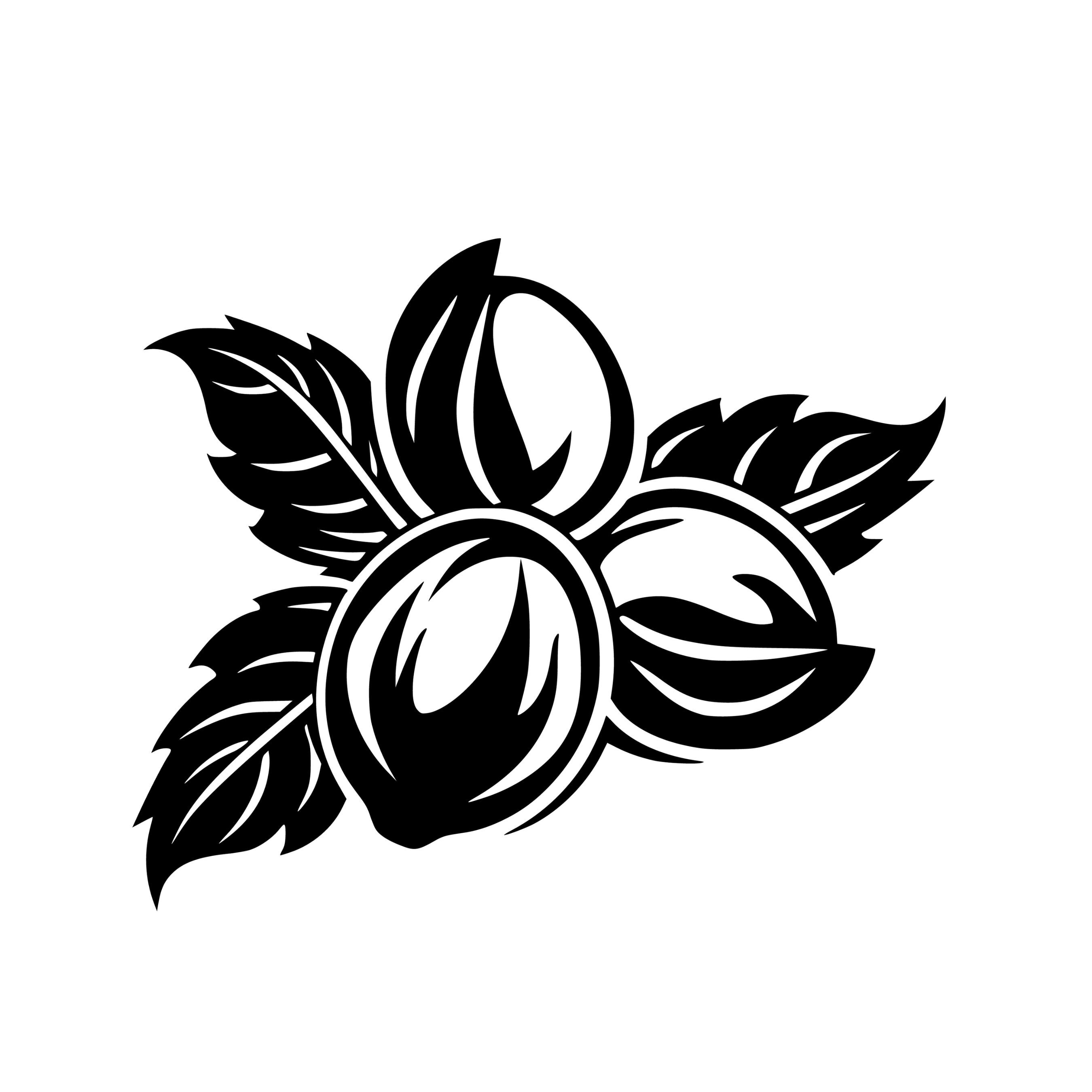 Nuts Svg, Nut Svg, Nuts Svg Bundle, Walnut Svg, Peanut Svg, Almond Svg ...