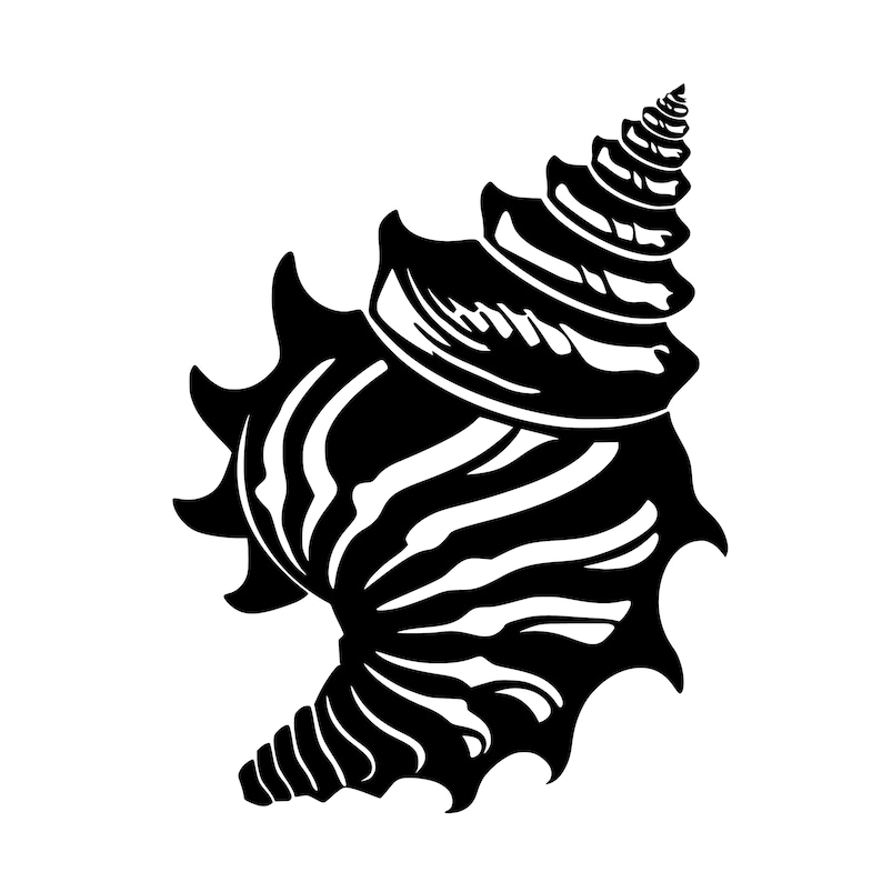 Seashell Svg, Seashells Svg, Seashell Svg Bundle, Seashell Clipart ...