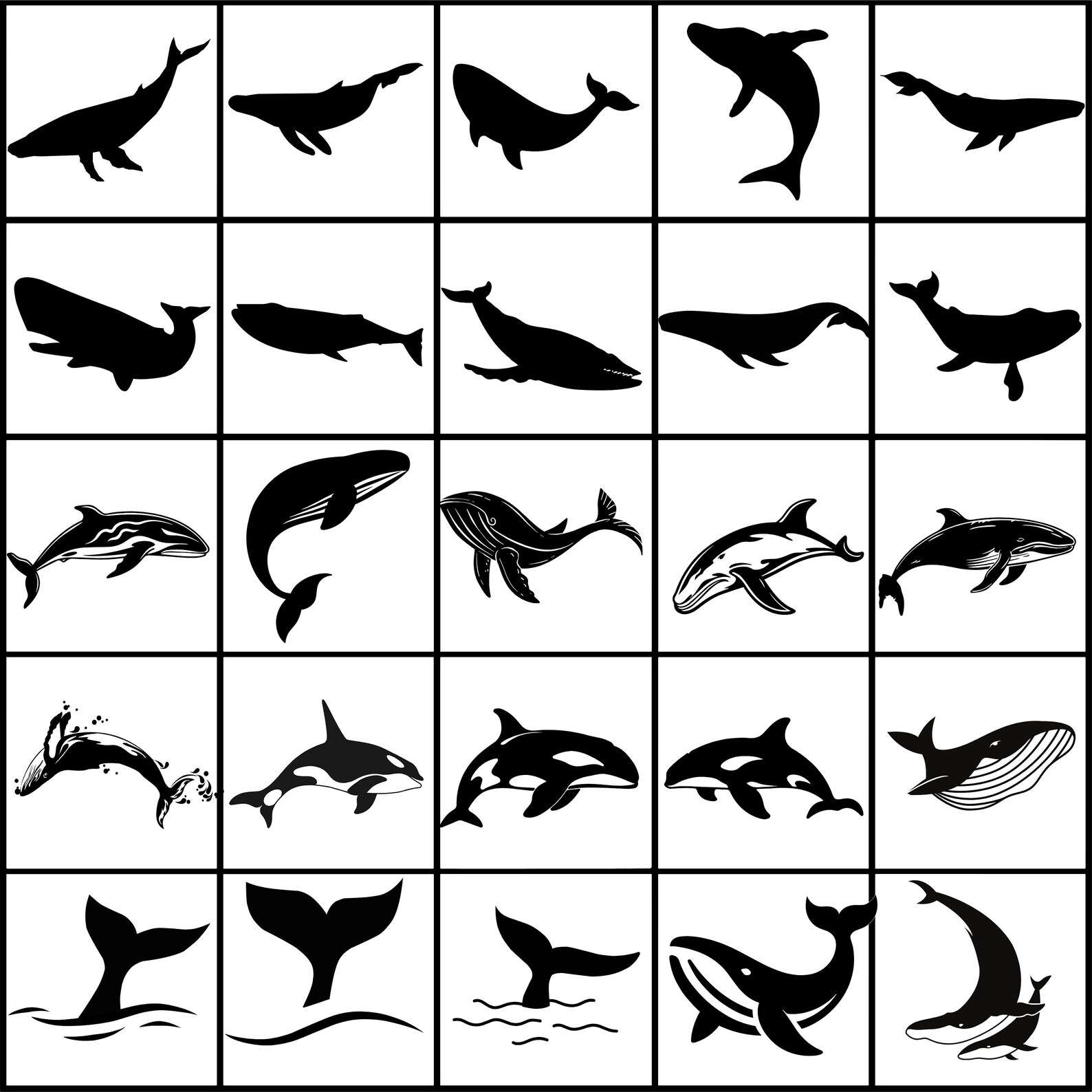 Whale Svg, Whales Svg, Whale Silhouette, Whale Svg Bundle, Whale Svg ...
