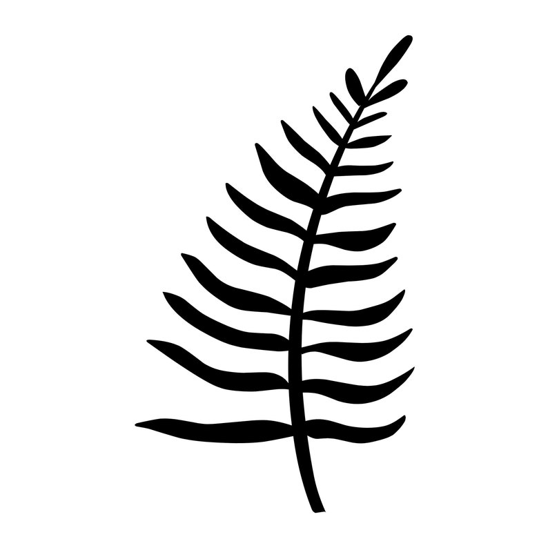 Fern Leaves Svg, Fern Svg, Fern Leaves Svg Bundle, Fern Leaf Svg, Fern ...
