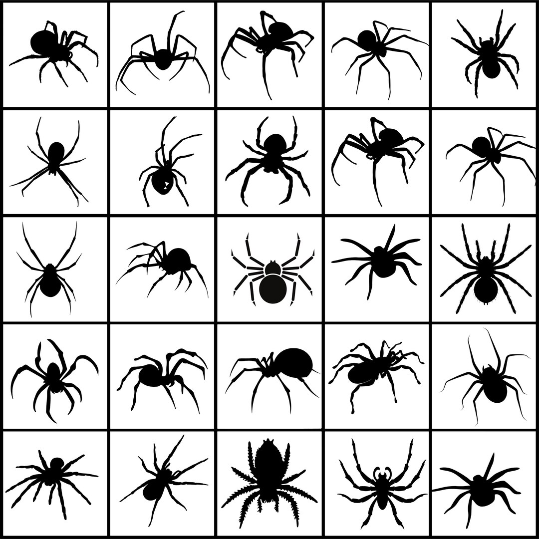 Spider Svg, Spiders Svg, Spider Silhouette, Spider Svg Bundle, Spider ...