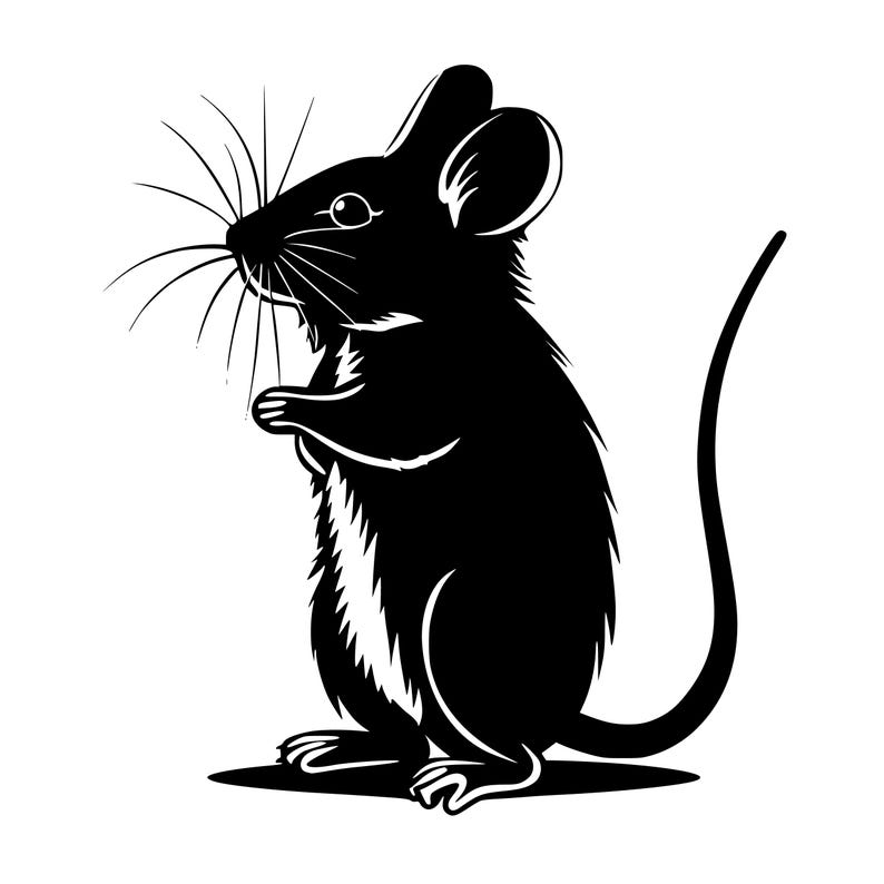 Mouse Svg, Mouse Silhouette, Mouse Svg Bundle, Mouse Cut Files, Mouse ...