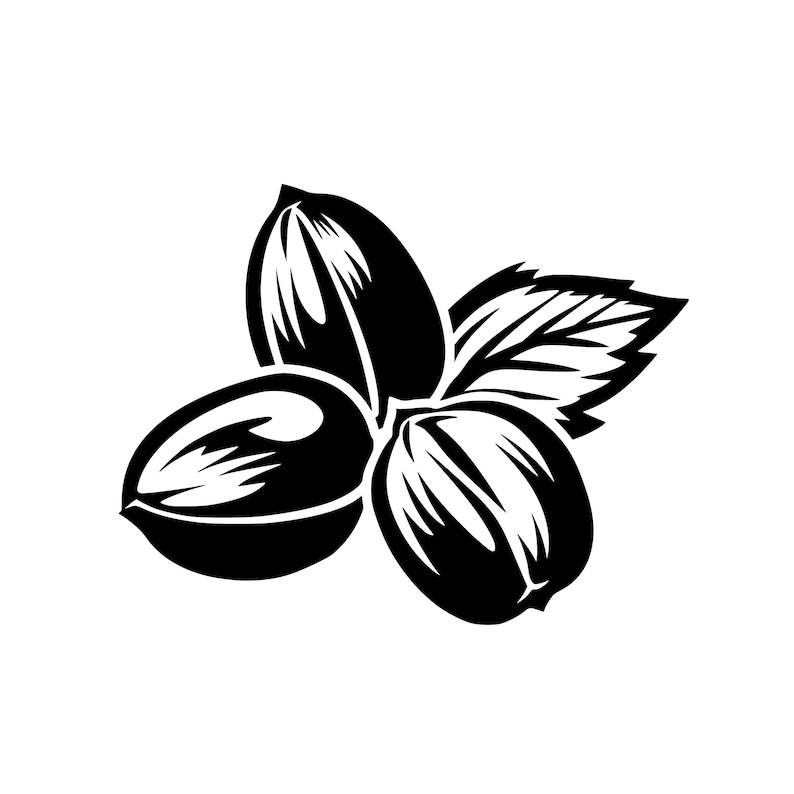 Nuts Svg, Nut Svg, Nuts Svg Bundle, Walnut Svg, Peanut Svg, Almond Svg ...