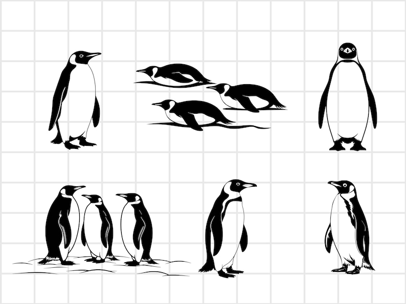 Penguin Svg, Penguin Svg Bundle, Penguin Silhouette, Penguin Cut File ...
