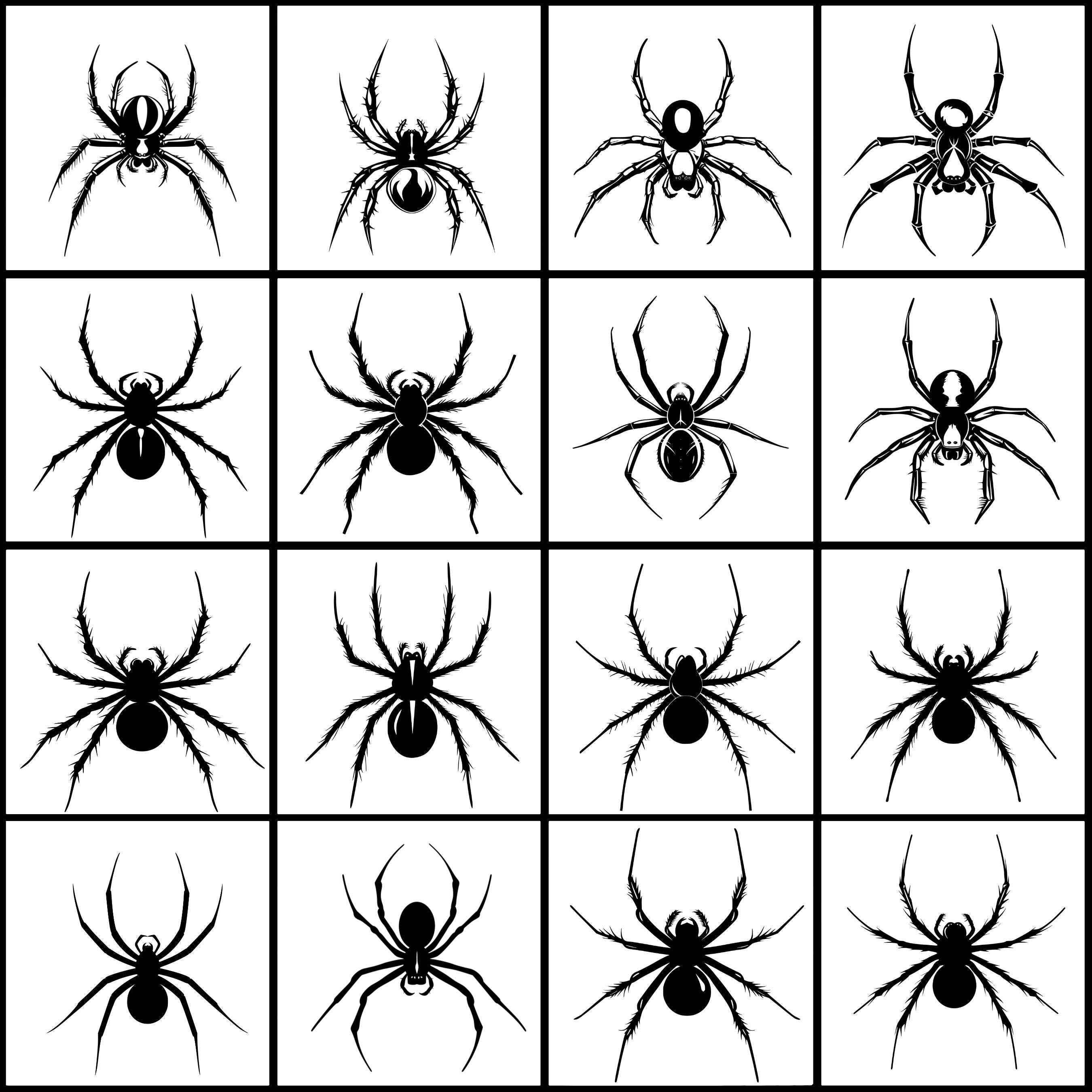 Spider Svg, Spiders Svg, Spider Silhouette, Spider Svg Bundle, Spider ...
