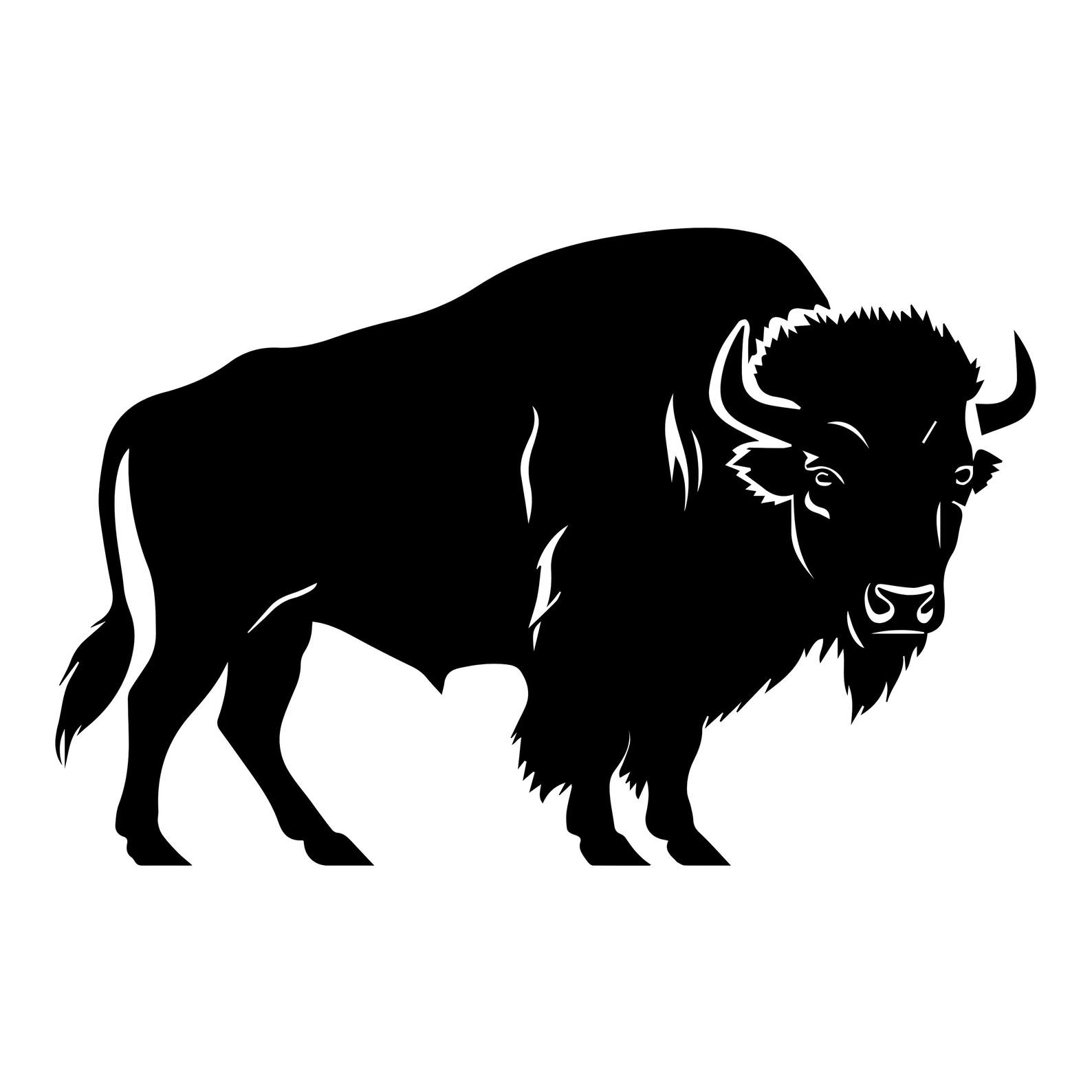 Bison Svg, Bison Head Svg, Bison Silhouette, Bison Svg Png, Bison Svg ...