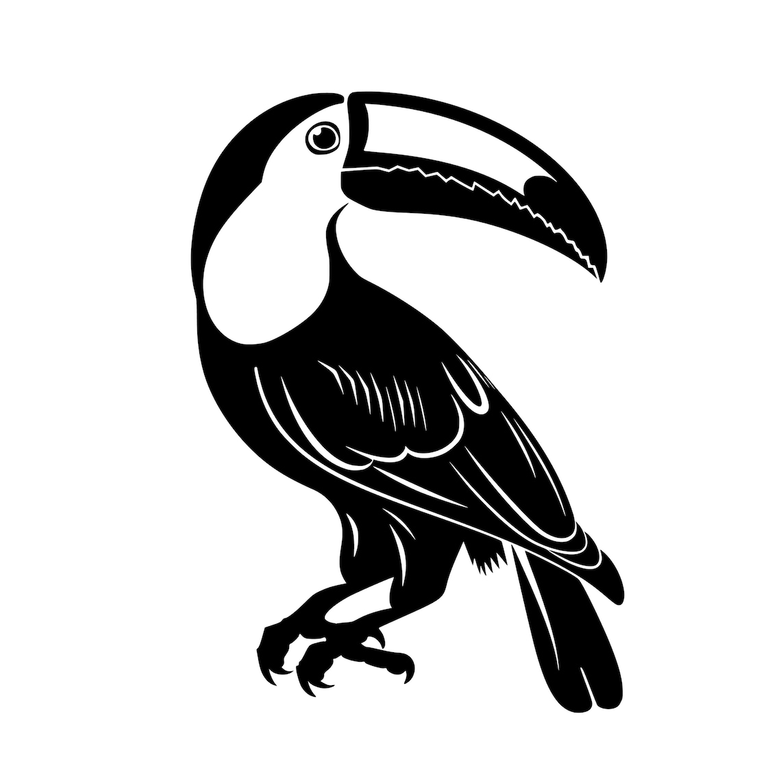 Toucan Svg, Toucan Bird Svg, Toucan Svg Bundle, Toucan Svg File, Toucan ...