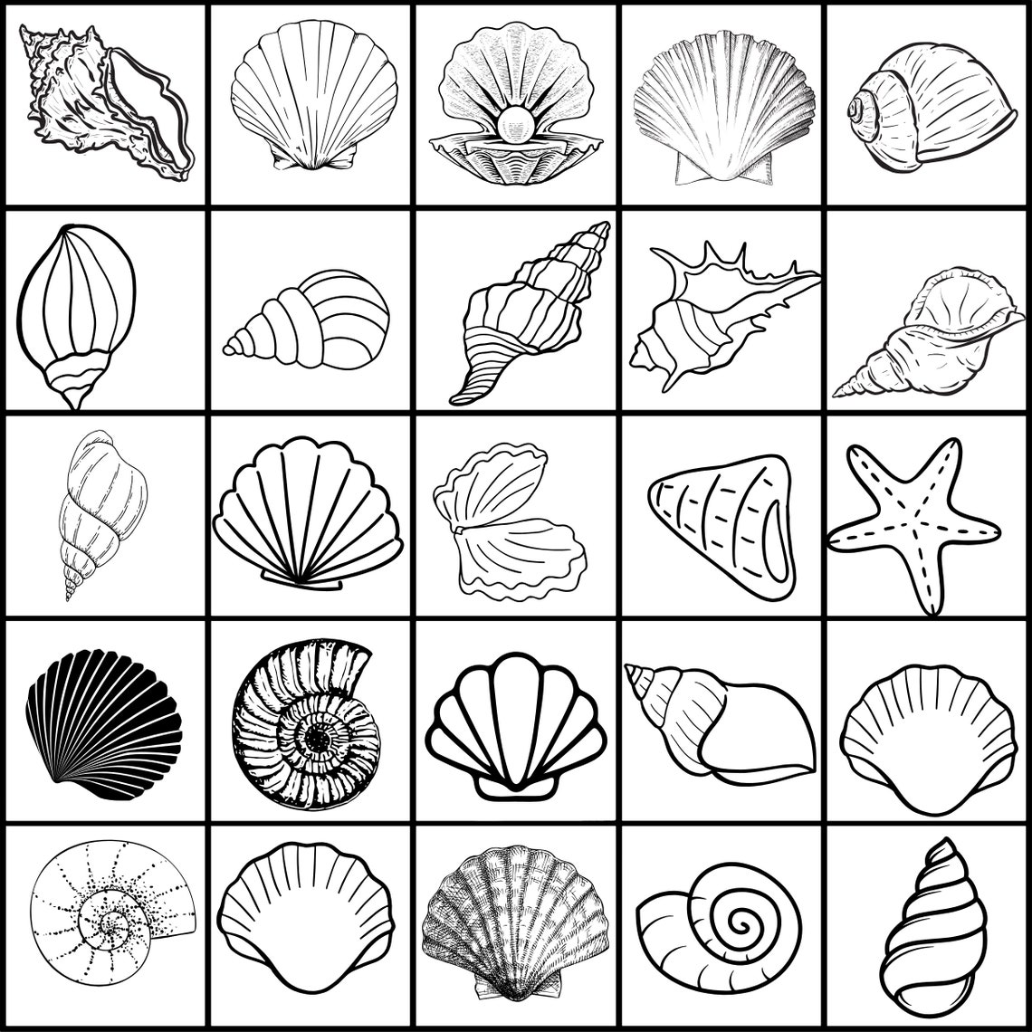 Seashell Svg, Seashells Svg, Seashell Svg Bundle, Seashell Clipart ...