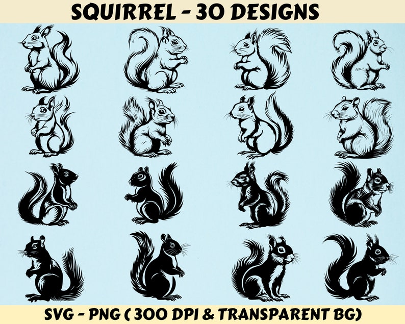Squirrel Svg, Squirrel Svg Bundle, Squirrel Svg , Squirrel Silhouette ...