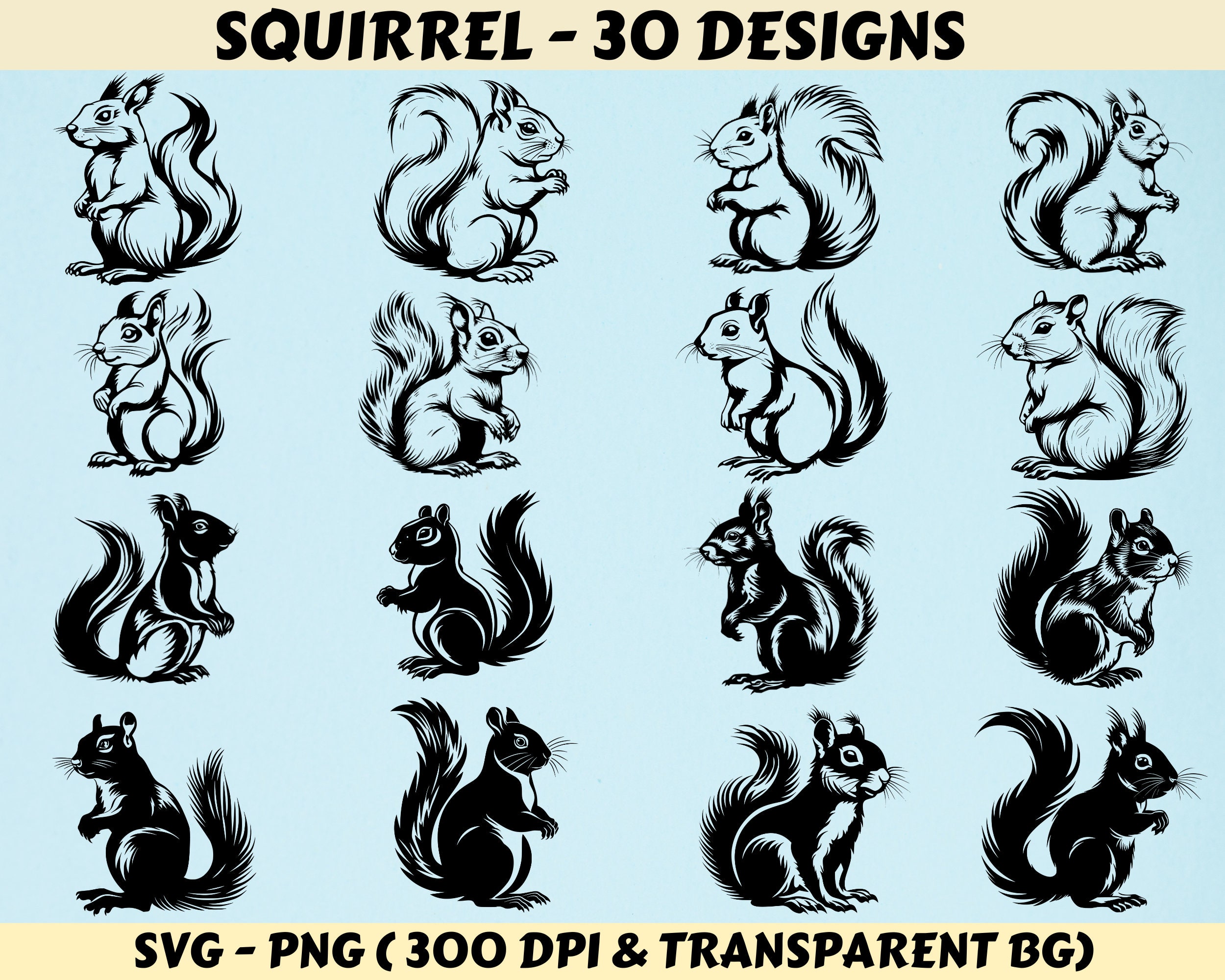 Squirrel Svg, Squirrel Svg Bundle, Squirrel Svg , Squirrel Silhouette ...