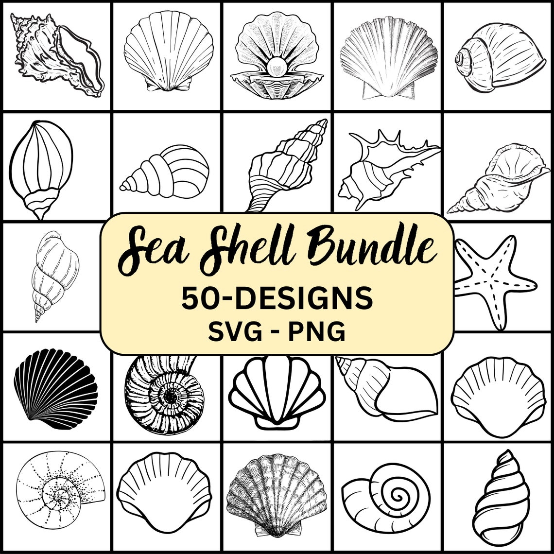 Seashell Svg, Seashells Svg, Seashell Svg Bundle, Seashell Clipart ...