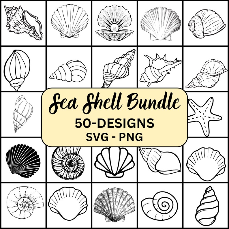 Seashell Svg, Seashells Svg, Seashell Svg Bundle, Seashell Clipart ...