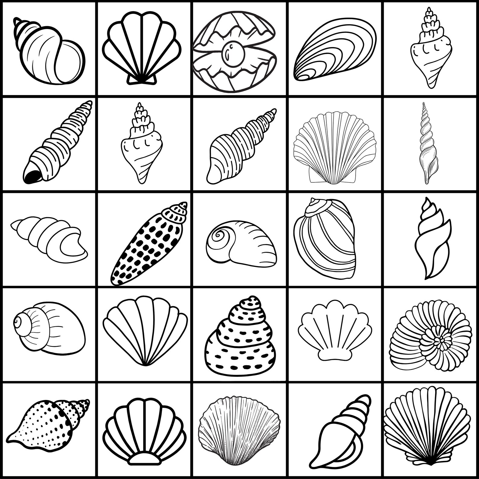 Seashell Svg, Seashells Svg, Seashell Svg Bundle, Seashell Clipart ...