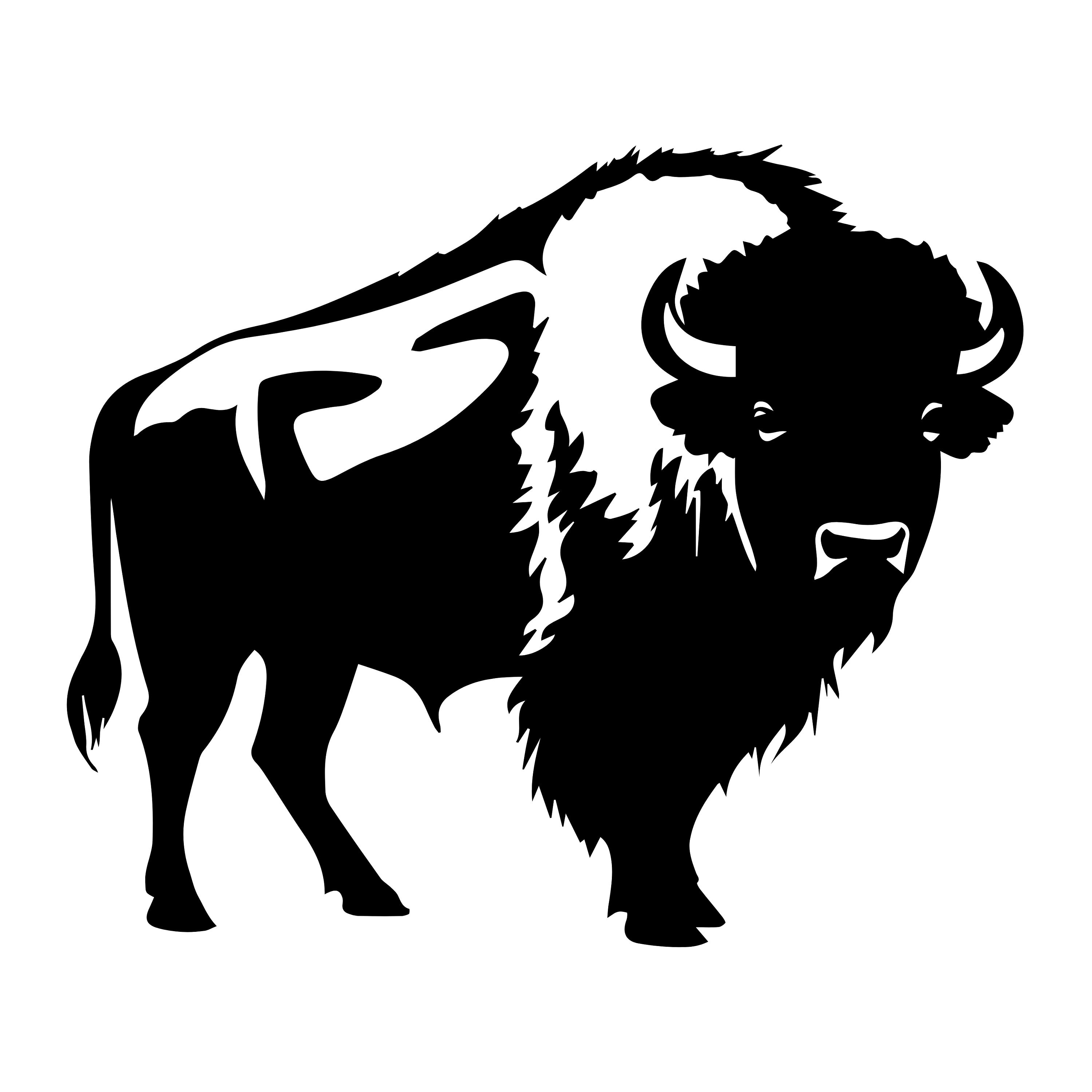 Bison Svg, Bison Head Svg, Bison Silhouette, Bison Svg Png, Bison Svg ...