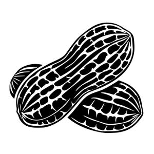 Nuts Svg, Nut Svg, Nuts Svg Bundle, Walnut Svg, Peanut Svg, Almond Svg ...