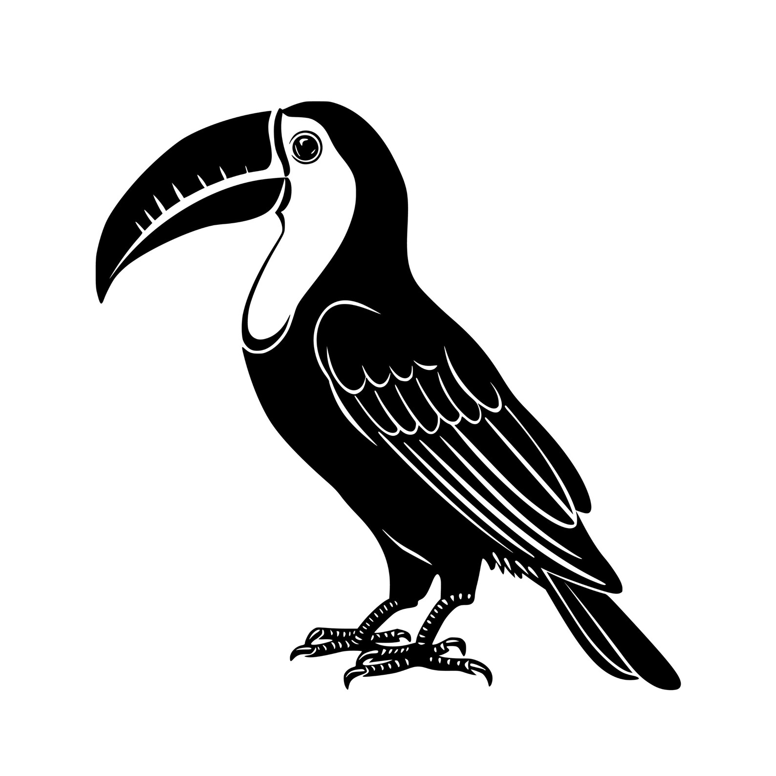 Toucan Svg, Toucan Bird Svg, Toucan Svg Bundle, Toucan Svg File, Toucan ...