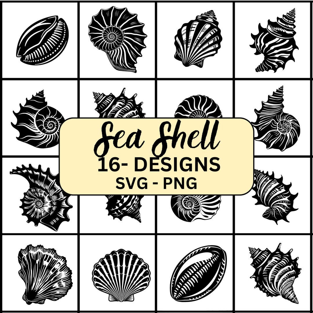 Seashell Svg, Seashells Svg, Seashell Svg Bundle, Seashell Clipart ...