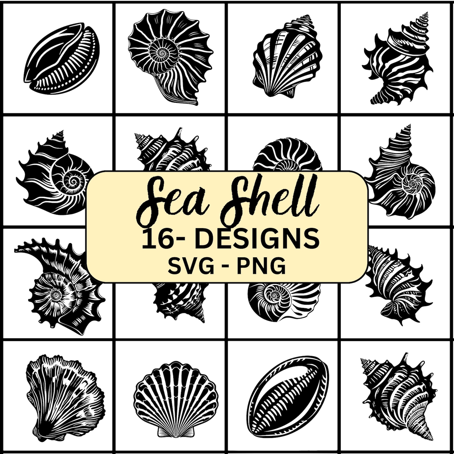Seashell Svg, Seashells Svg, Seashell Svg Bundle, Seashell Clipart ...