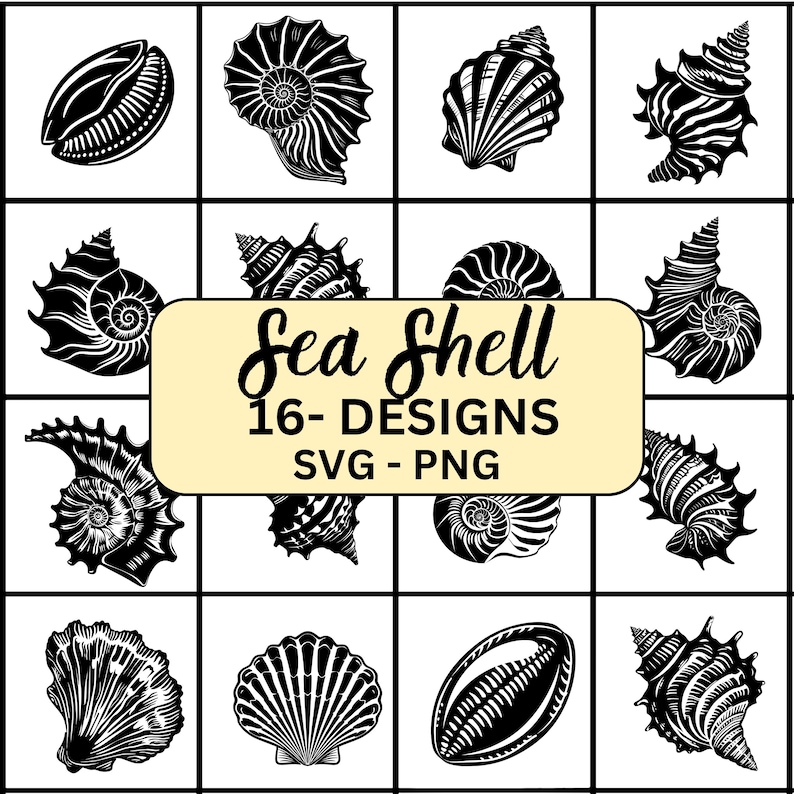 Seashell Svg, Seashells Svg, Seashell Svg Bundle, Seashell Clipart ...