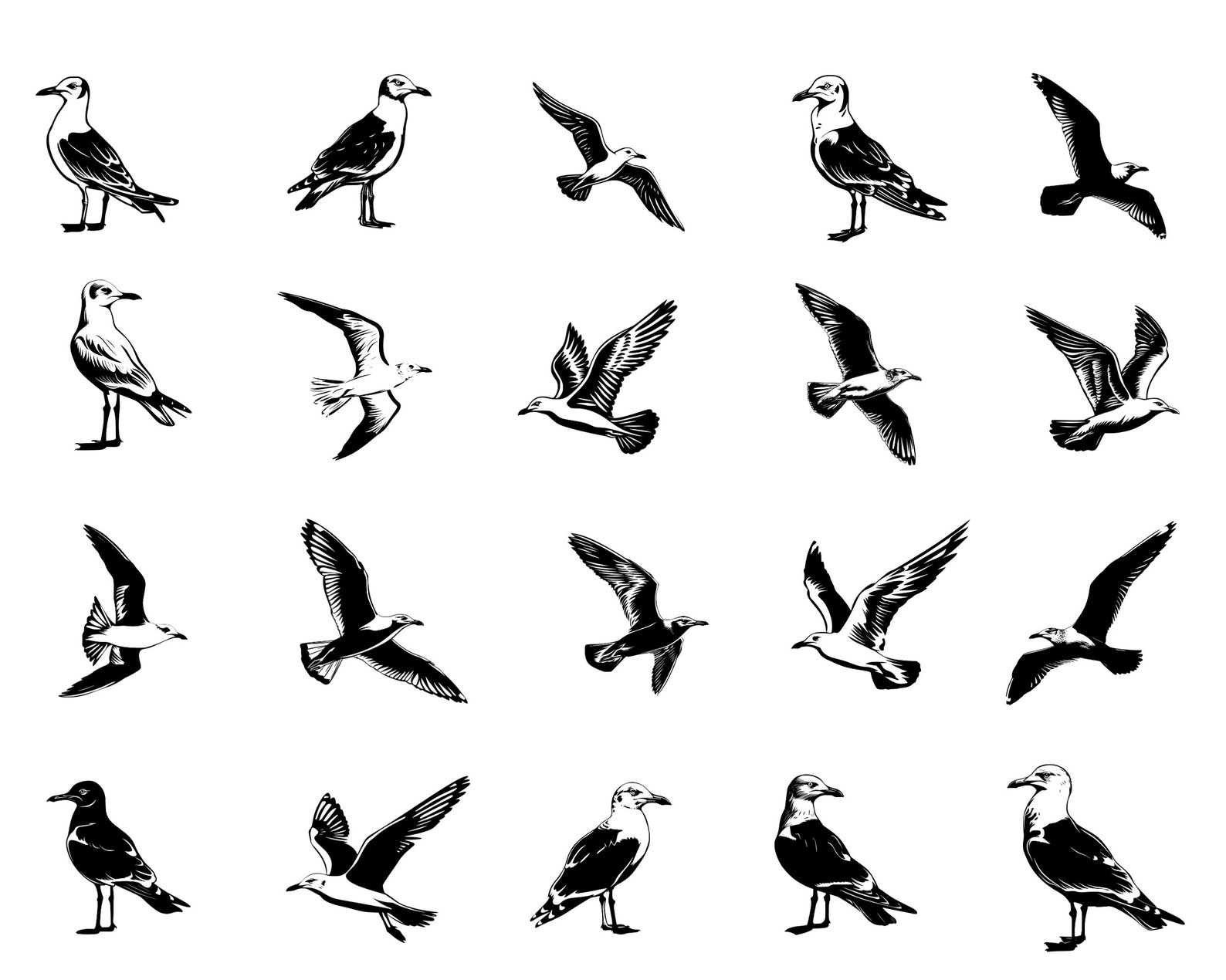 Seagull Svg, Seagull Svg Bundle, Seagull Svg File, Seagull Silhouette ...