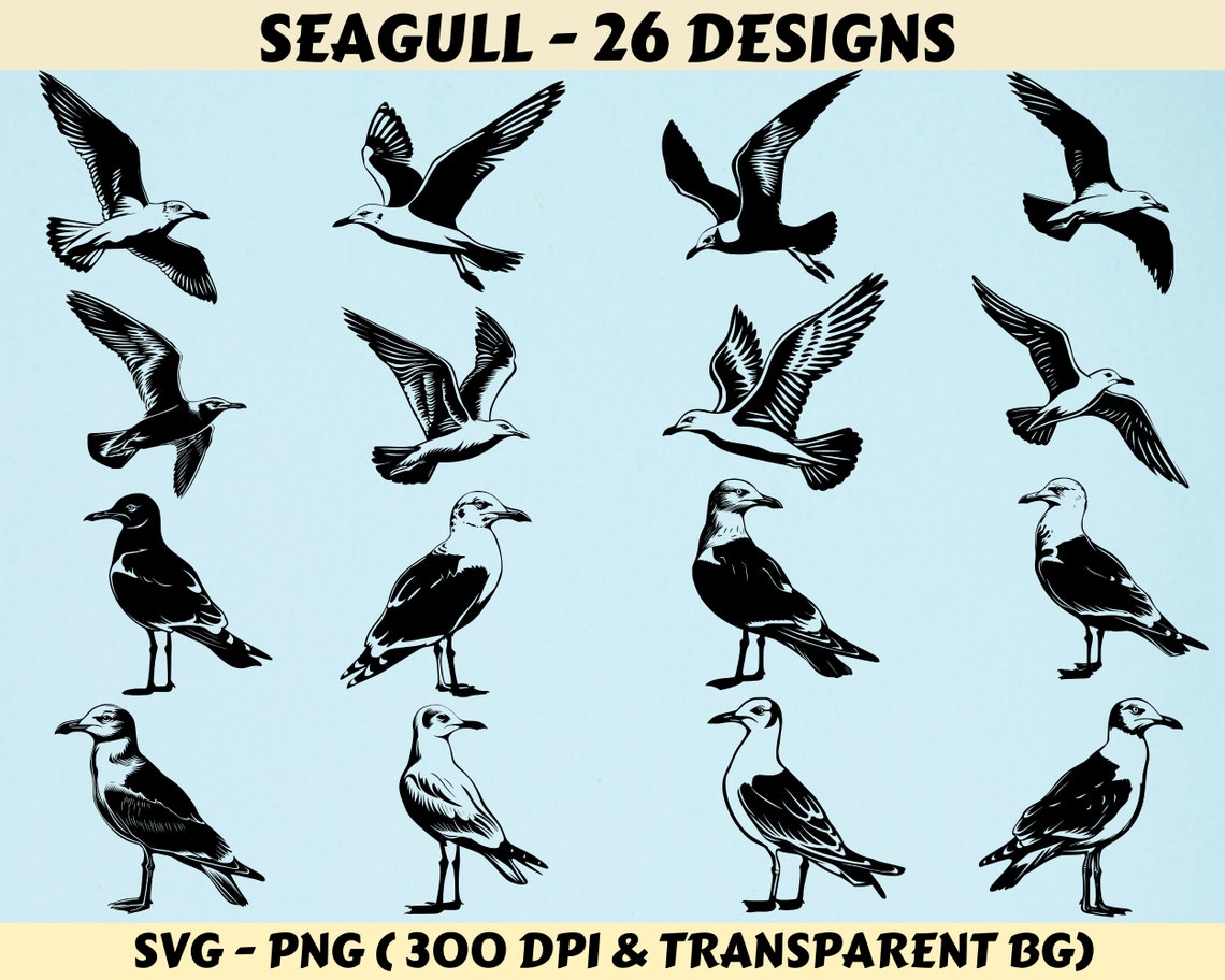 Seagull Svg, Seagull Svg Bundle, Seagull Svg File, Seagull Silhouette ...