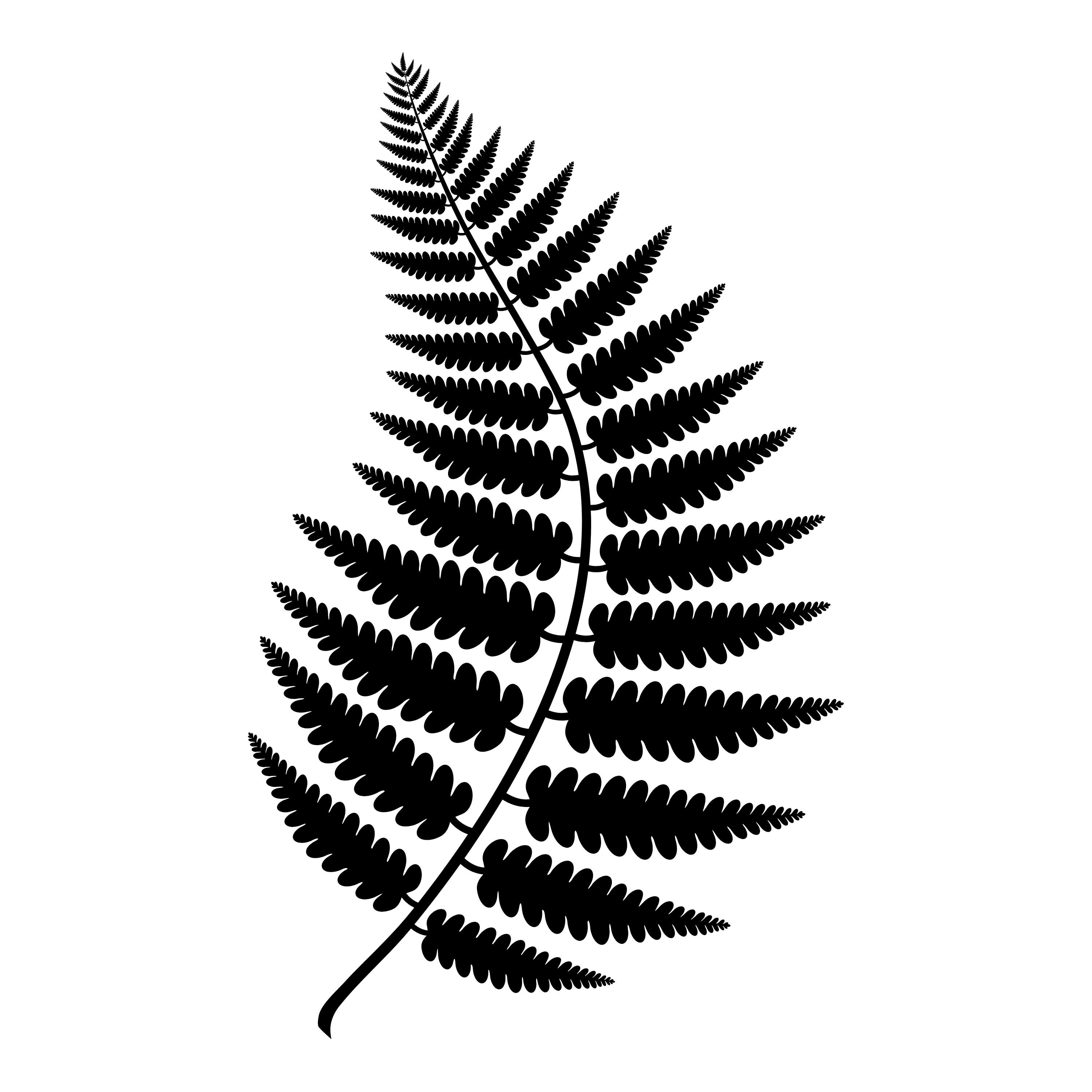 Fern Leaves Svg, Fern Svg, Fern Leaves Svg Bundle, Fern Leaf Svg, Fern ...