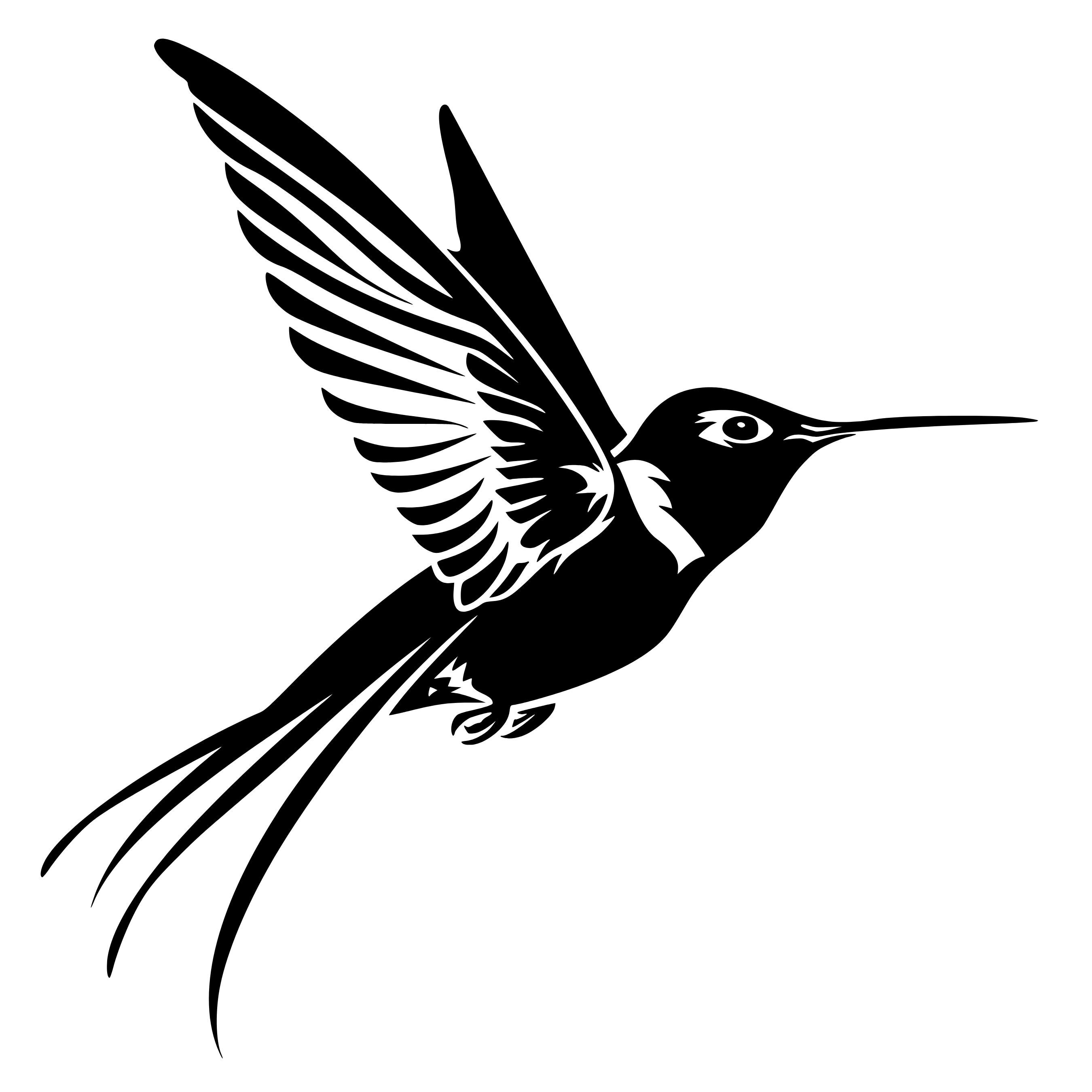 Hummingbird Svg, Hummingbird Svg Bundle, Hummingbirds Svg, Hummingbird ...