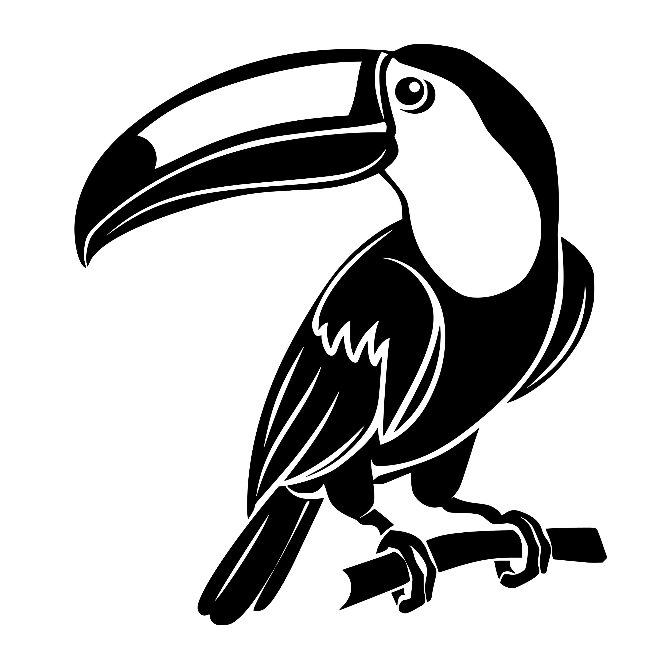 Toucan Svg, Toucan Bird Svg, Toucan Svg Bundle, Toucan Svg File, Toucan ...