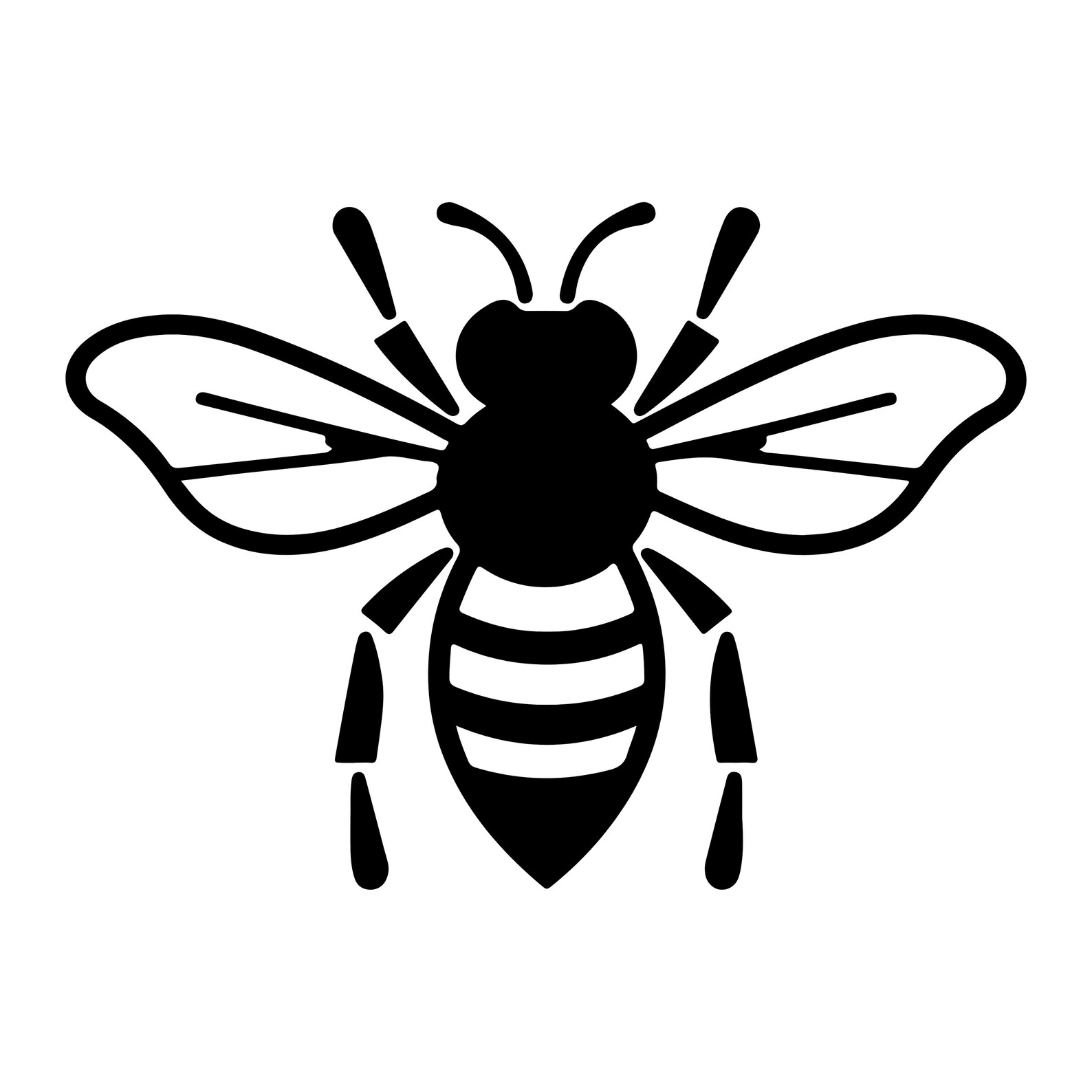 Bee Svg, Bees Svg, Bee Svg Bundle, Bee Png Files, Bee Cricut, Bee Cut ...