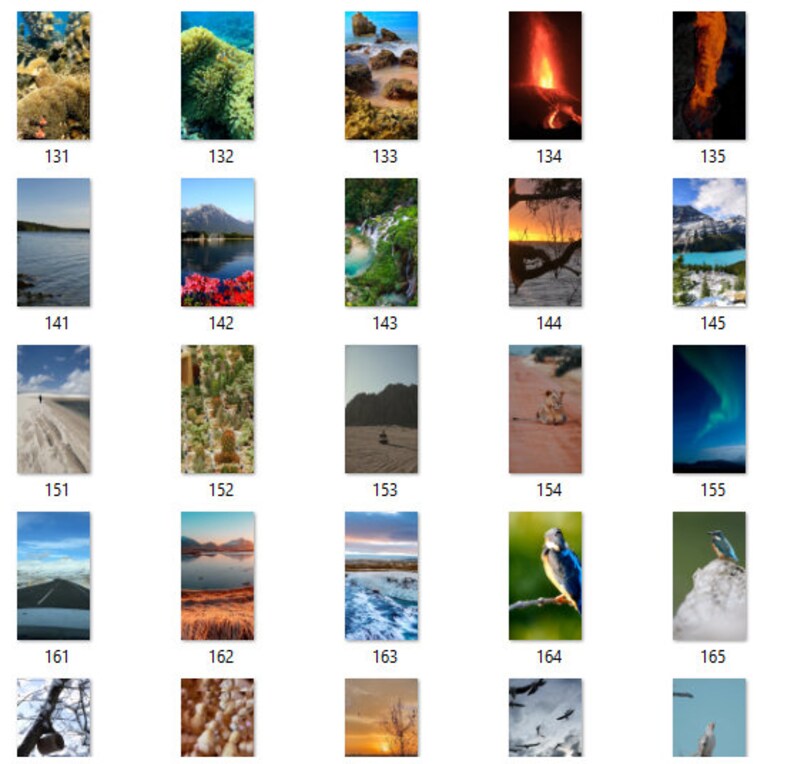 200 Nature Video Bundle, Nature Reels Videos, Instagram Travel Videos ...