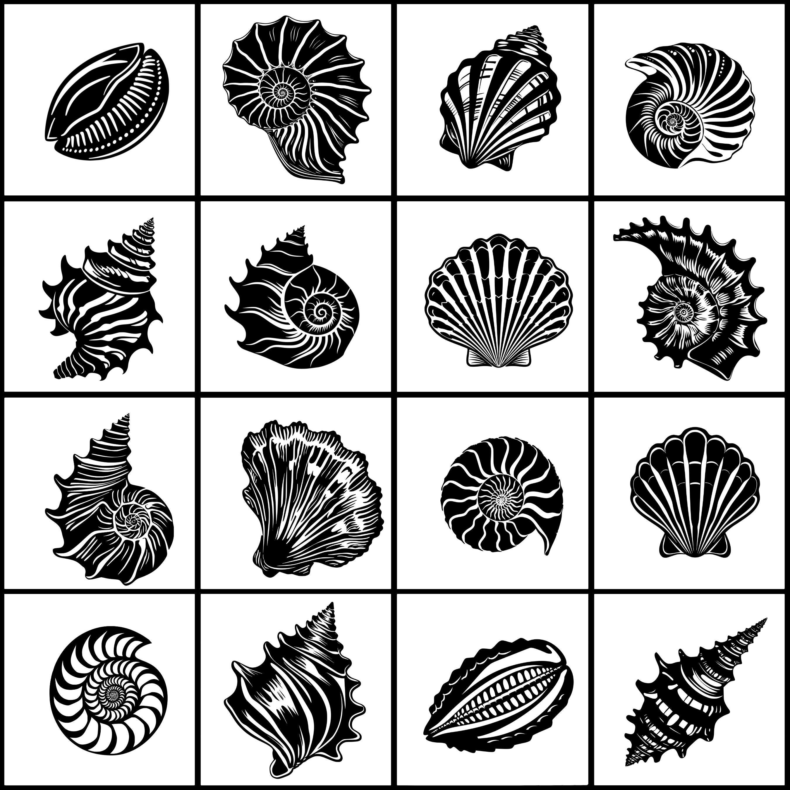 Seashell Svg, Seashells Svg, Seashell Svg Bundle, Seashell Clipart ...