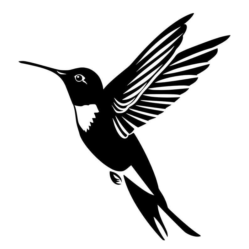 Hummingbird Svg, Hummingbird Svg Bundle, Hummingbirds Svg, Hummingbird ...