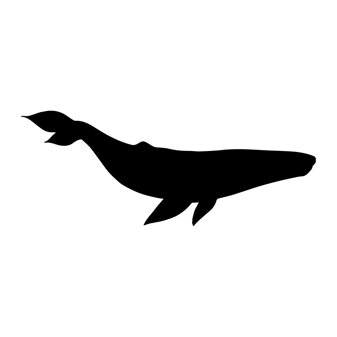 Whale Svg, Whales Svg, Whale Silhouette, Whale Svg Bundle, Whale Svg ...
