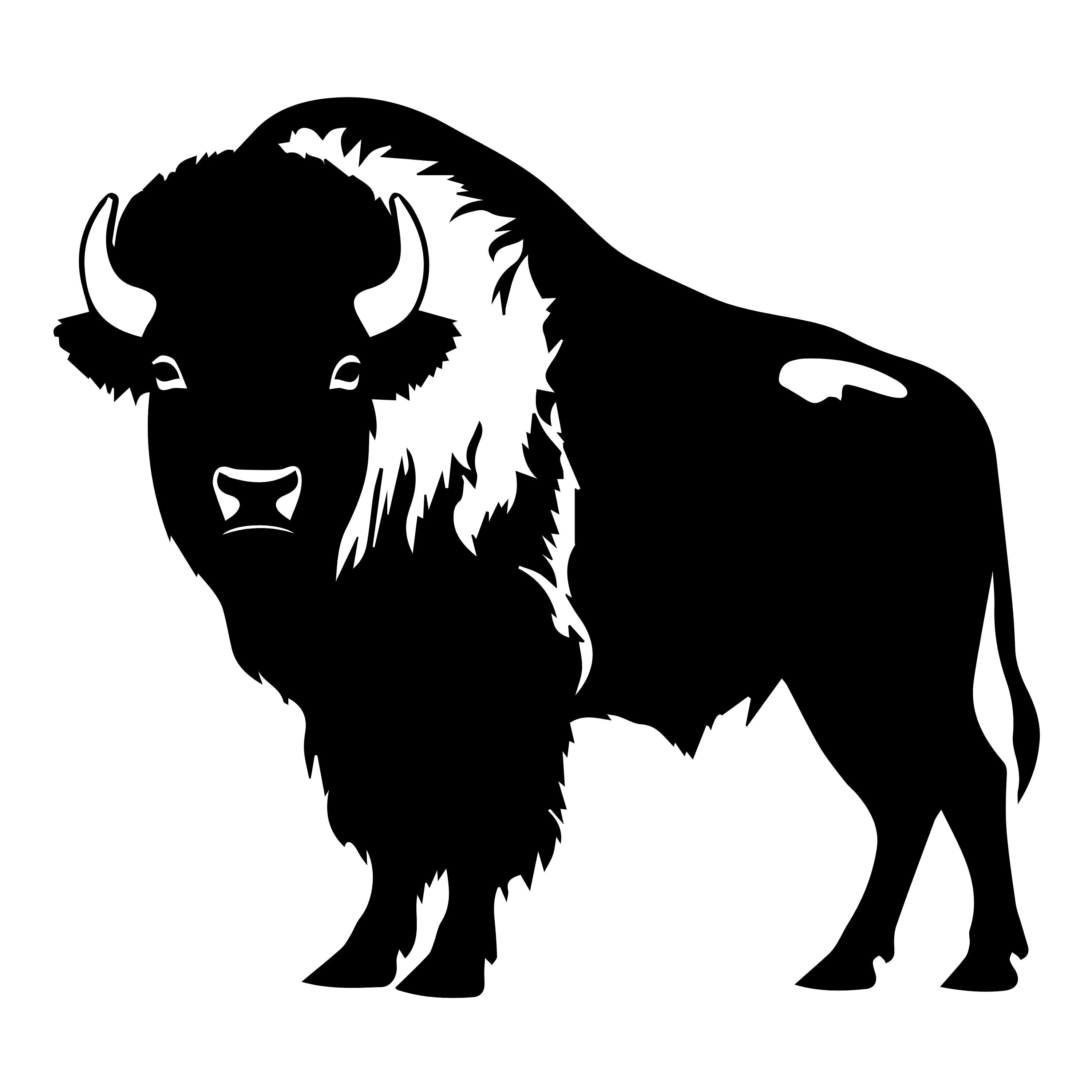 Bison Svg, Bison Head Svg, Bison Silhouette, Bison Svg Png, Bison Svg ...