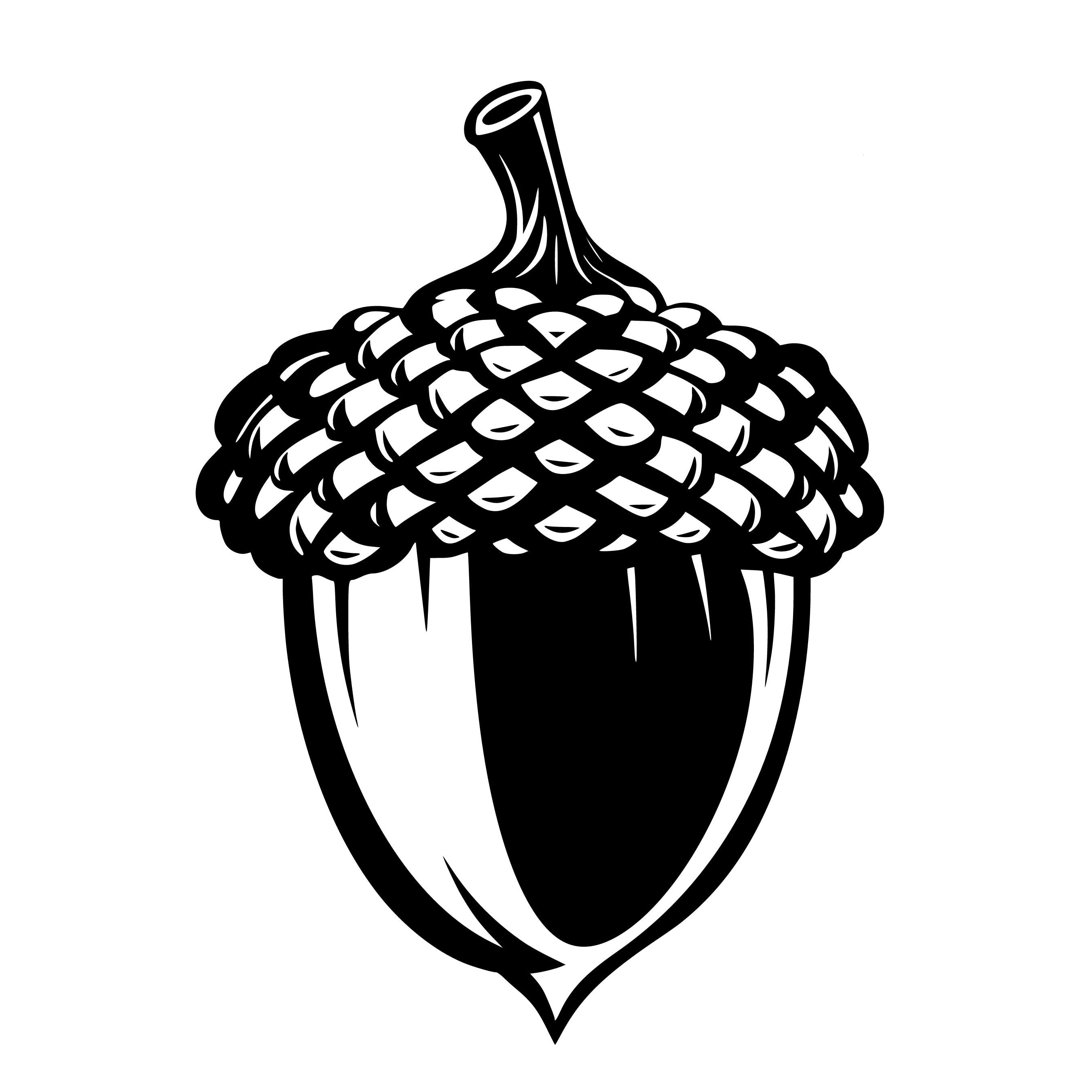 Nuts Svg, Nut Svg, Nuts Svg Bundle, Walnut Svg, Peanut Svg, Almond Svg ...