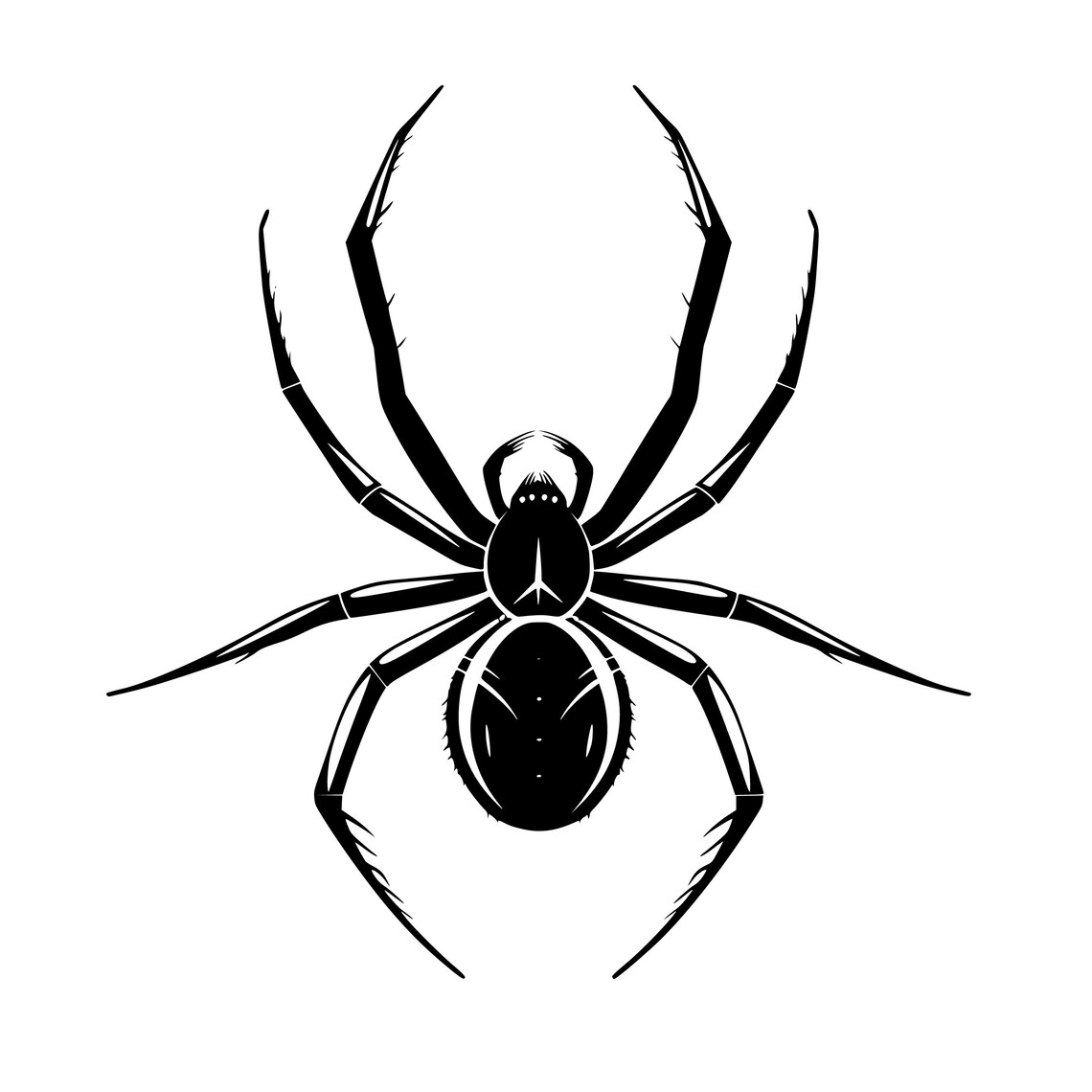 Spider Svg, Spiders Svg, Spider Silhouette, Spider Svg Bundle, Spider ...