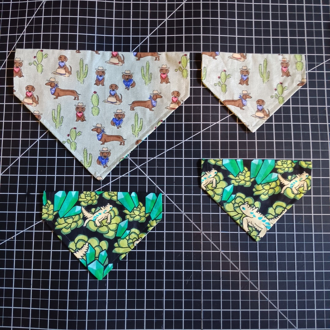 Cowboy Wiener Dogs Bearded Dragon Reversible Over the Collar Dog ...