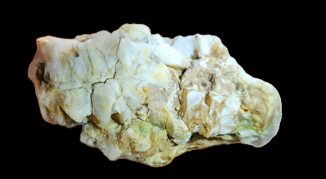 Barite, Strontianite, Siderite, Quartz and Pyrite Crystalized Ostrea ...