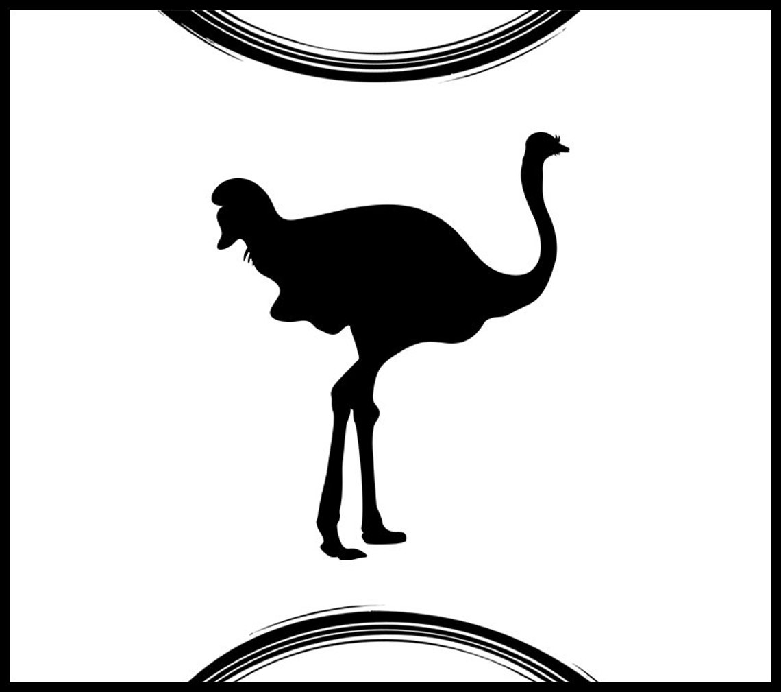 Ostrich SVG Bundle, Ostrich Dxf, Ostrich Png, Ostrich Eps, Ostrich ...