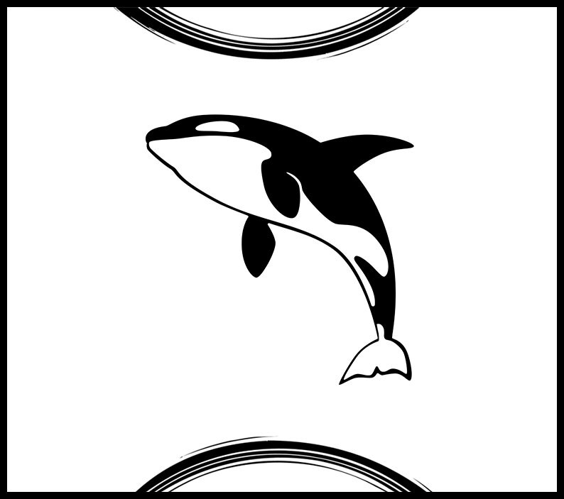 Orca Cut Files - PNG, JPG, PDF - Commercial Use, Digital Cut File, Orca ...
