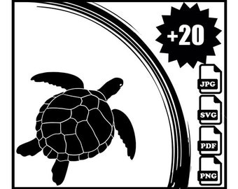 Tortoise Silhouettes SVG, PNG, JPG Digital Cut File, Transparent ...