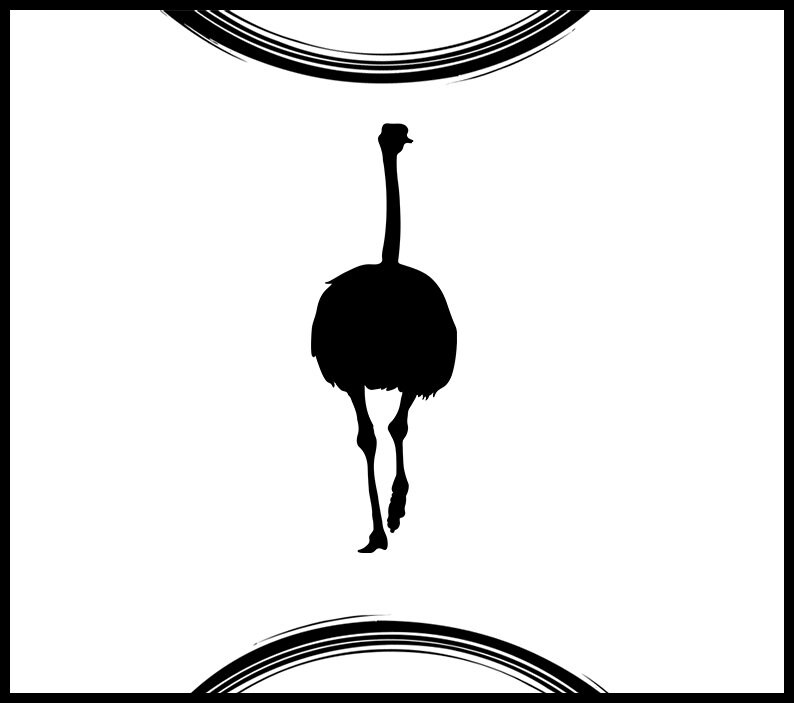 Ostrich SVG Bundle, Ostrich Dxf, Ostrich Png, Ostrich Eps, Ostrich ...