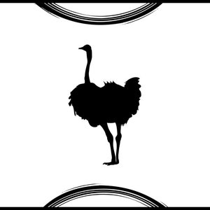 Ostrich SVG Bundle, Ostrich Dxf, Ostrich Png, Ostrich Eps, Ostrich ...