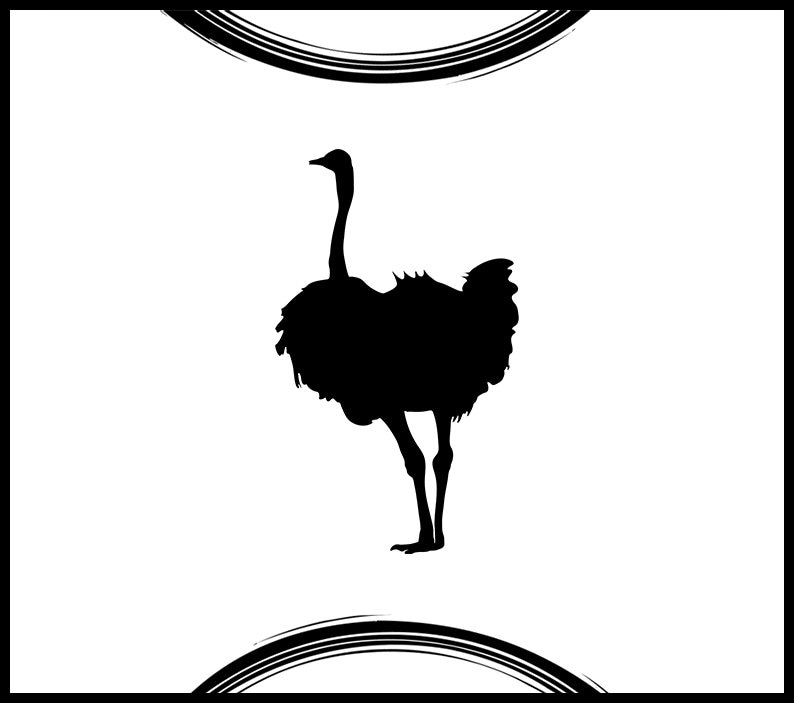 Ostrich SVG Bundle, Ostrich Dxf, Ostrich Png, Ostrich Eps, Ostrich ...