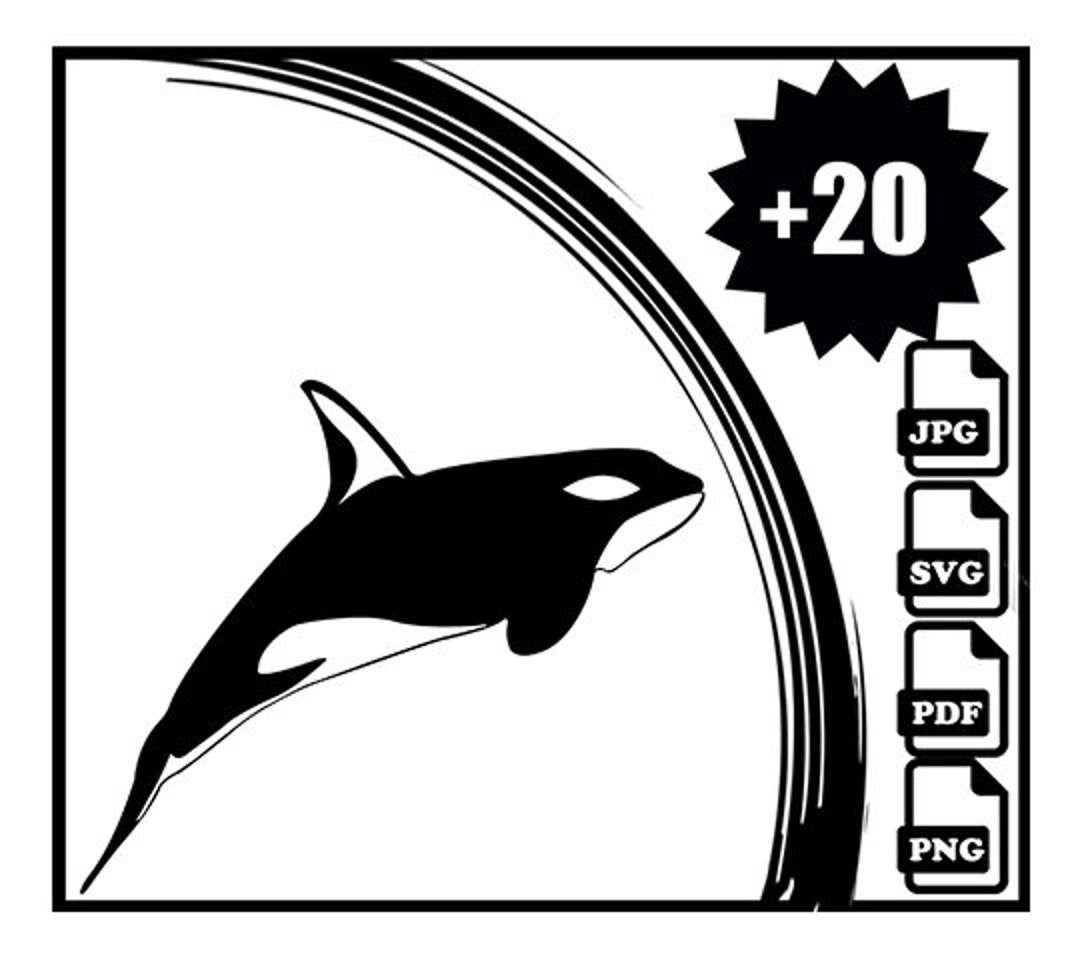 Orca Cut Files - PNG, JPG, PDF - Commercial Use, Digital Cut File, Orca ...