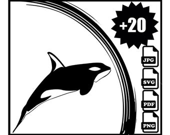 Orca Cut Files SVG, PNG, JPG Commercial Use, Digital Cut File, Orca ...
