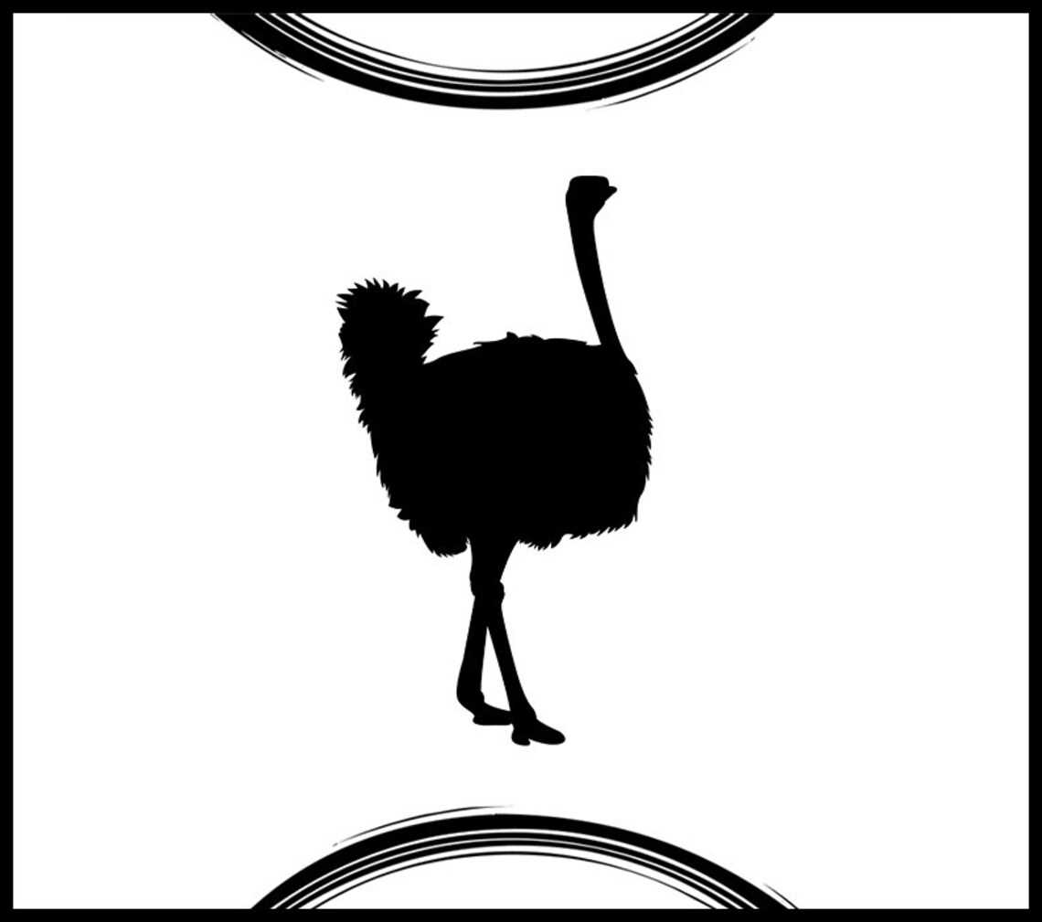 Ostrich SVG Bundle, Ostrich Dxf, Ostrich Png, Ostrich Eps, Ostrich ...