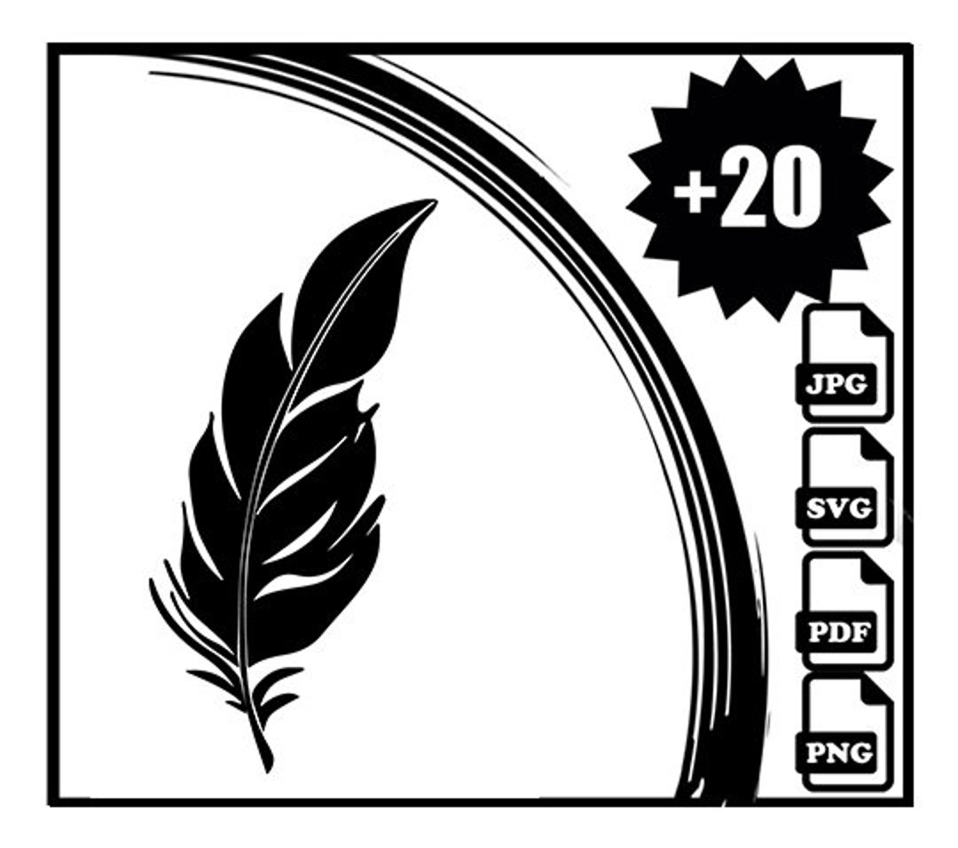 Silueta de pluma SVG crafter Paquete SVG de plumas, Plumas de pájaros ...