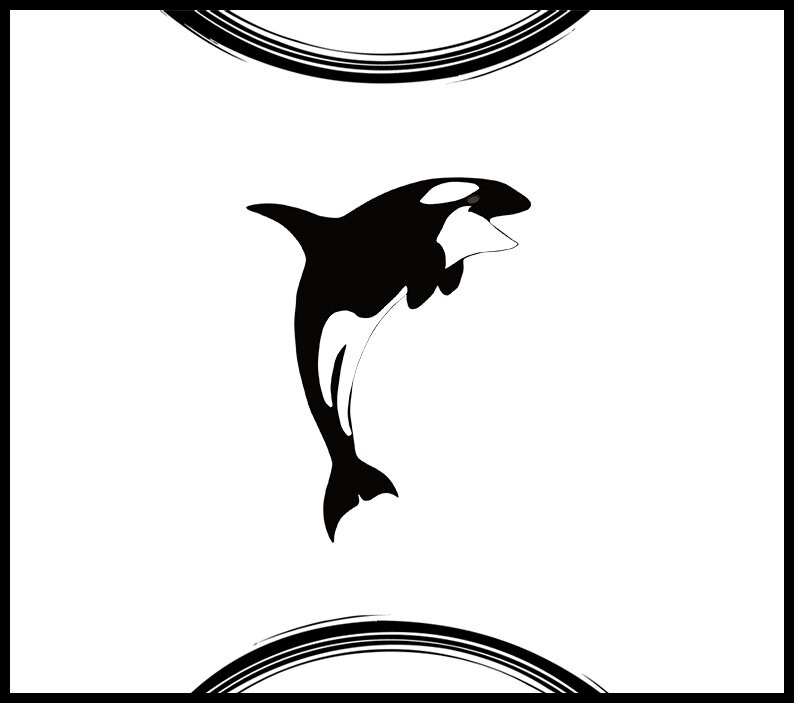 Orca Cut Files - PNG, JPG, PDF - Commercial Use, Digital Cut File, Orca ...