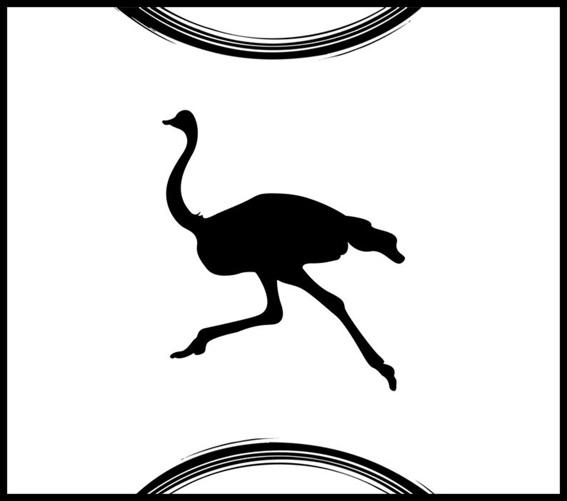 Ostrich SVG Bundle, Ostrich Dxf, Ostrich Png, Ostrich Eps, Ostrich ...